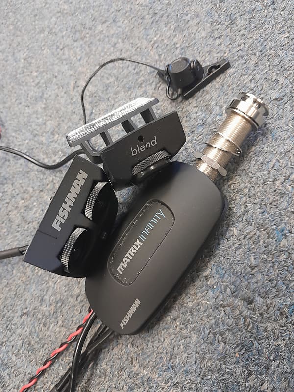 Fishman Infinity Mic Blend 2023 | Reverb