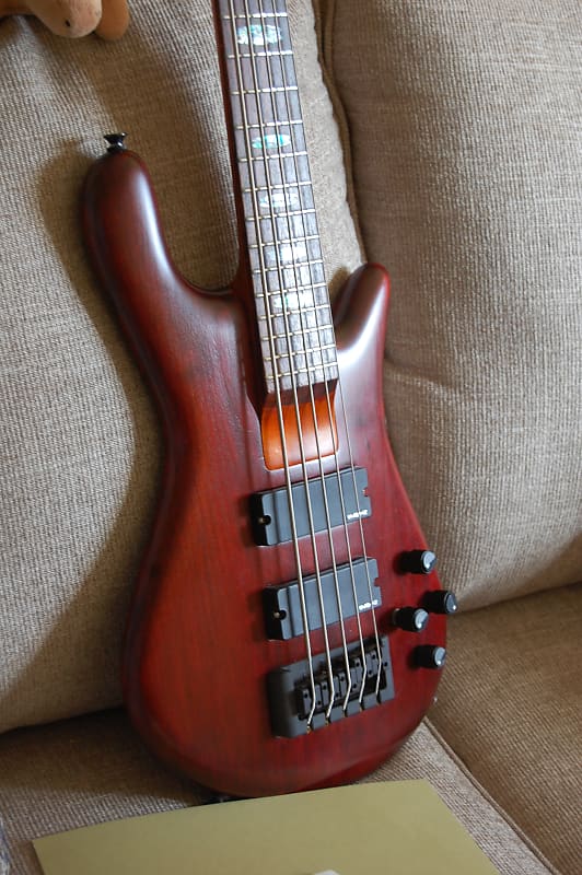 SPECTOR Euro Rebop 2004 Dark red mahogany stain | Reverb