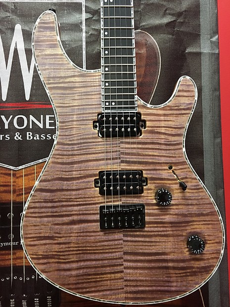 Mayones REGIUS 6 2016 Trans Violet Negetive Fade | Reverb