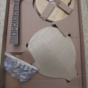 Saga AM-10 Build Your Own Mandolin Kit Build Kit | Reverb