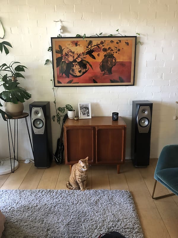 Infinity Interlude il30 2011 Black | Reverb