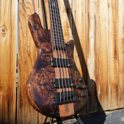Spector NS Ethos 5 | Reverb
