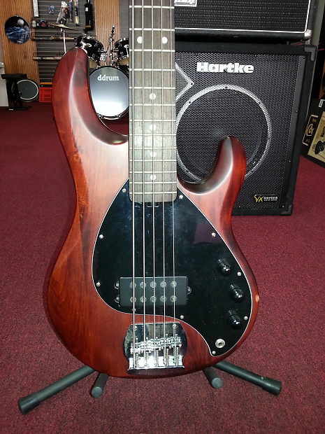 Sterling Sub Ray 5 Walnut Excellent | Reverb