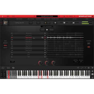 IK Multimedia SampleTank 4 Sample-Based Virtual Instrument | Reverb