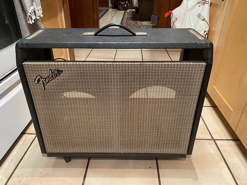 1970s Fender Twin Reverb Cabinet with Reverb Tank | Reverb