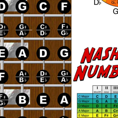 New Song 5 String Bass Fretboard Instructional Chart Poster | Reverb