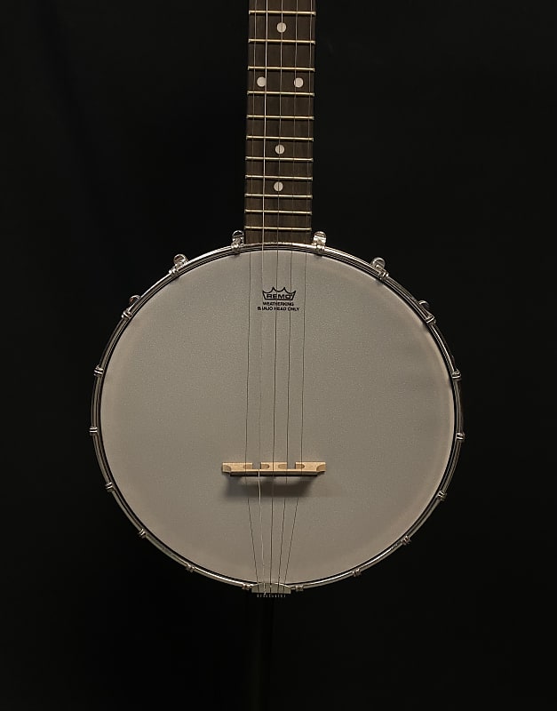 Alabama 5 String Travel Banjo - ALB50TR | Reverb Canada