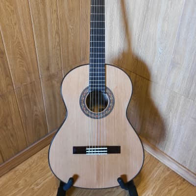 Alvarez Yairi Classical Nylon String Acoustic Guitar - Model | Reverb
