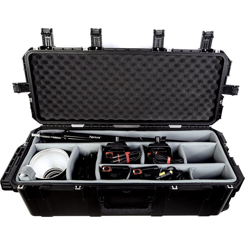 Aputure Light Storm LC 120d II Daylight LED | Reverb