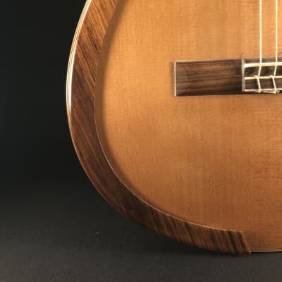 2010 David Pace "Double Top" Classical Guitar | Reverb