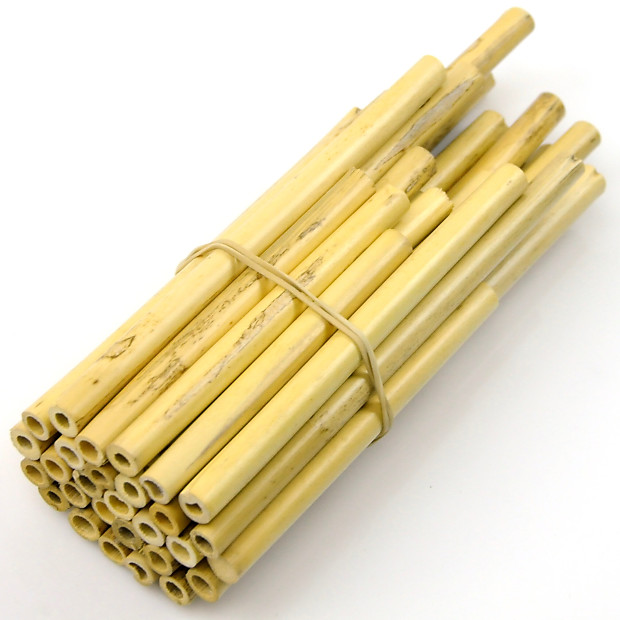 Glotin Glotin Oboe Tube Cane (1/4 pound) 10.5mm | Reverb Australia