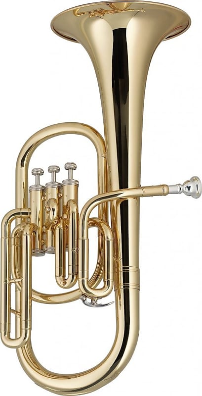 Stagg Model WS-AH235 Eb 3 Valve Alto Horn with ABS Case - USA | Reverb