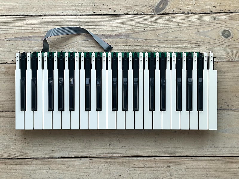 Pratt-Reed J-Wire replacement keybed 1980s - Black / White | Reverb