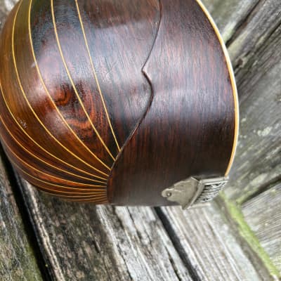 Lyon and Healy Italian Style Bowlback Mandolin Brazilian | Reverb