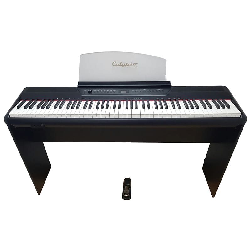 Calypso P15 Digital Piano - Black | Reverb Canada