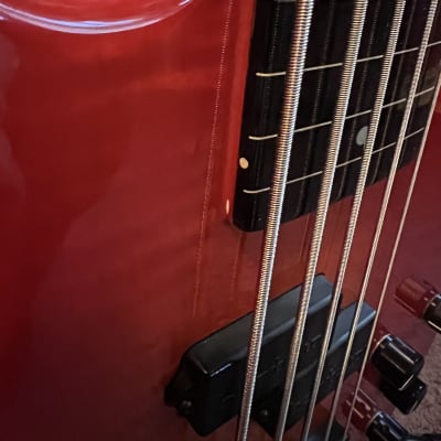 Pedulla Pentabuzz 5 String Fretless Bass | Reverb