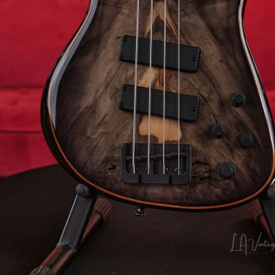 Roscoe LG3000 4 String Bass - With Beautiful Buckeye Burl Top | Reverb