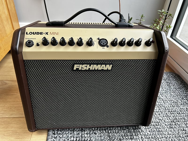 Fishman Loudbox Mini PRO-LBX-EX5 Acoustic Guitar and | Reverb UK