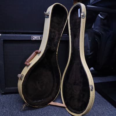 Rigel Mandolin A-Style, A+ Model w/Tolex Fitted Case | Reverb