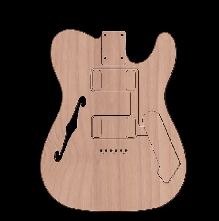 Custom Made To Order Unfinished 2 Piece Alder TH72 Guitar | Reverb