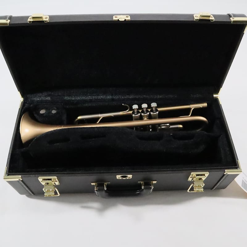 Yamaha Model YTR-8335RG Professional Trumpet in Brushed | Reverb