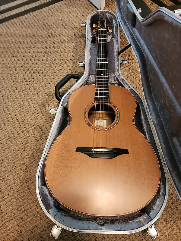 2021 Mcilroy AS25 - with K & K Mini -Excellent + Condition | Reverb