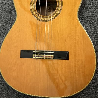 1986 Takamine Guitar - Perfect Condition! | Reverb
