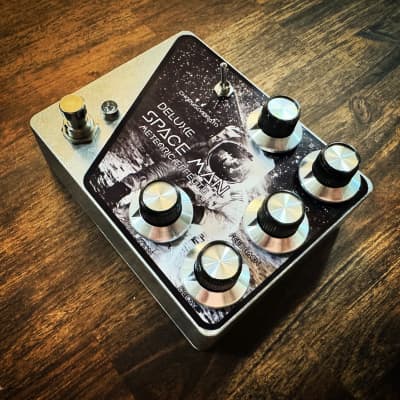 METEORIC EFFECTS Deluxe Space Man Analog Style Delay w/ | Reverb