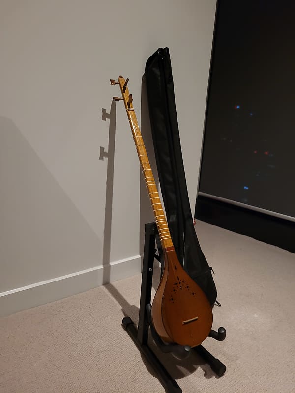 Persian Setar with a soft case | Reverb