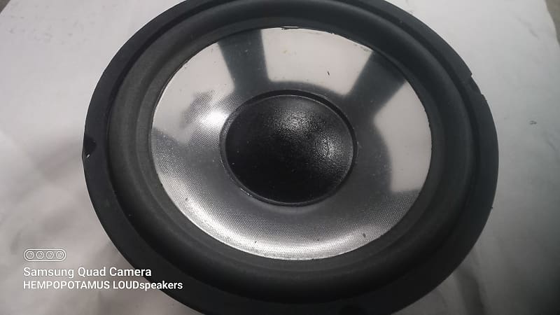 INFINITY 10" REPLACEMENT WOOFERV SPEAKER CLEAR POLY | Reverb