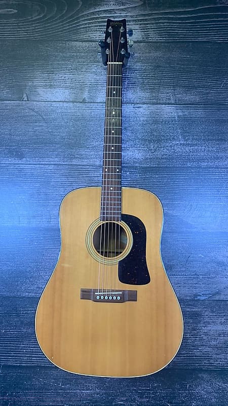 Washburn 26S Acoustic Guitar (Richmond, VA) | Reverb