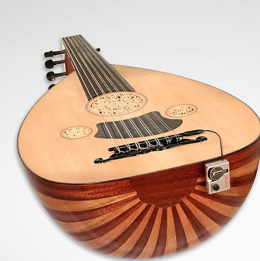 Shadow Preamp Pickup for Oud Ud String Musical Instrument O2E | Reverb