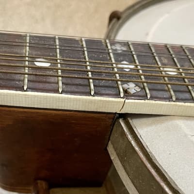 Vintage Beltone Professional 8 String Banjo Banjolin 1920's | Reverb