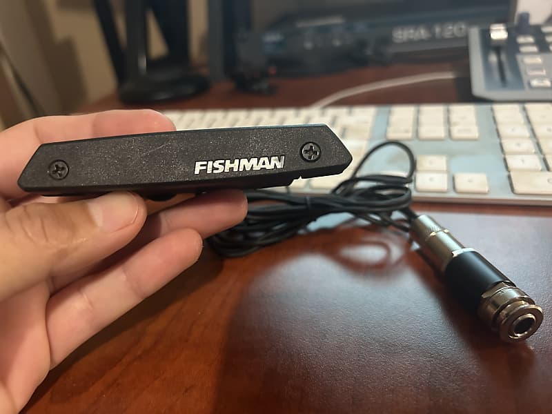 Fishman Rare earth single coil active pickup | Reverb