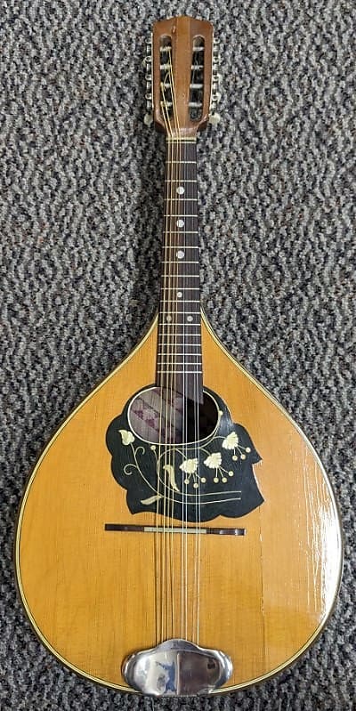 Vintage Bowlback mandolin from Unknown maker + Hardshell case | Reverb