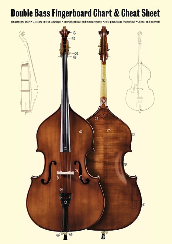 Double Bass Fingerboard Chart and Cheat Sheet (folded, 6 | Reverb
