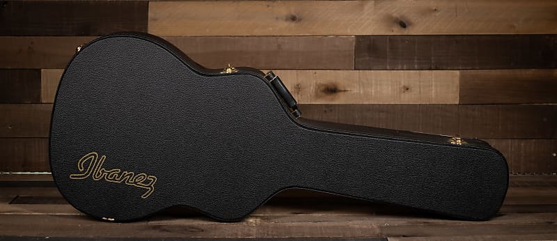 Ibanez AG100C Case for AG and AC Guitars - Used | Reverb