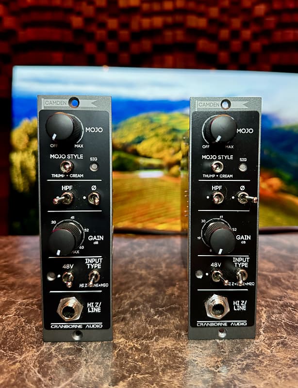 Cranborne Audio Camden 500 Series Mic Preamps (PAIR)-2020 - | Reverb
