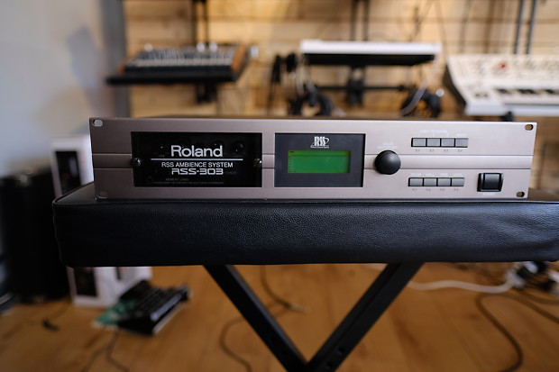 Roland RSS 303 Ambience System / FX Rack | Reverb