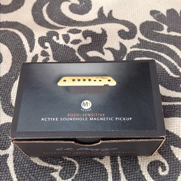 L.R. Baggs M1 Active Soundhole Pickup | Reverb
