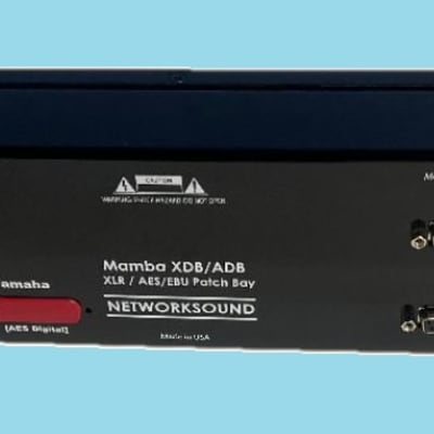 Mamba 24 Combo & 8 Male to 4 DB25 Tascam Pin Out 2RU Patch | Reverb
