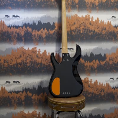 Flea Bass Model 32 The Wild One | Reverb