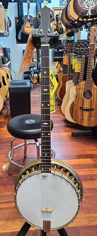 Vega Senator 4 string Banjo with custom back and fiber case | Reverb