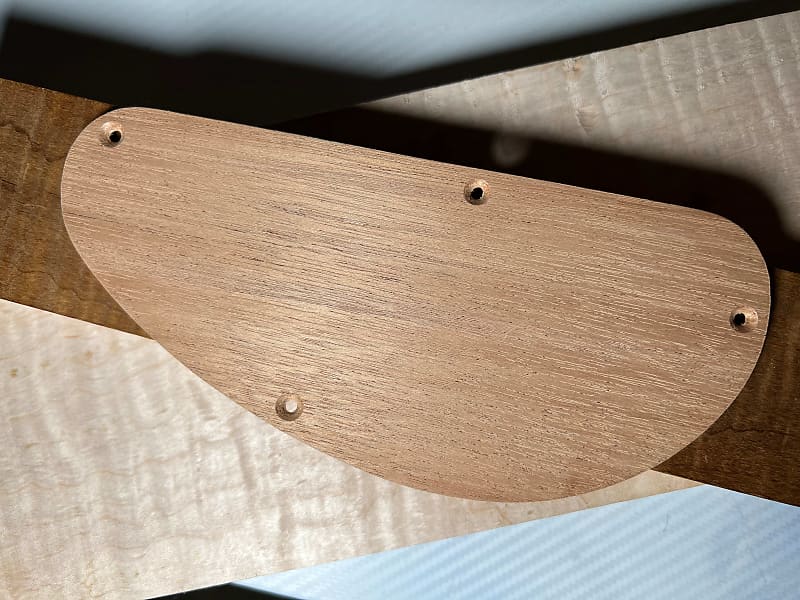 Warmoth mahogany wood control backplate for rear routed | Reverb