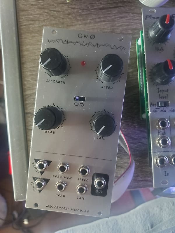 Moffenzeef GMO | Reverb