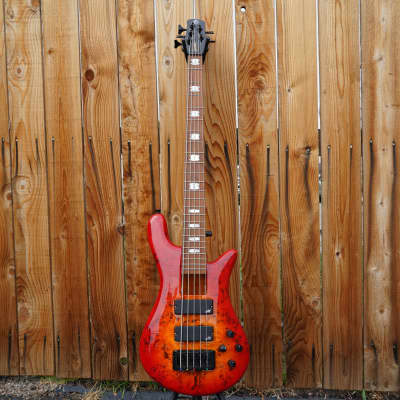 Spector Rex 5 Amber | Reverb