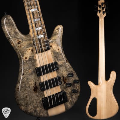 Spector USA Custom NS-5 Fretless 5-String Bass Guitar - | Reverb
