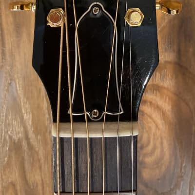 Gibson LC-1 Cascade | Reverb