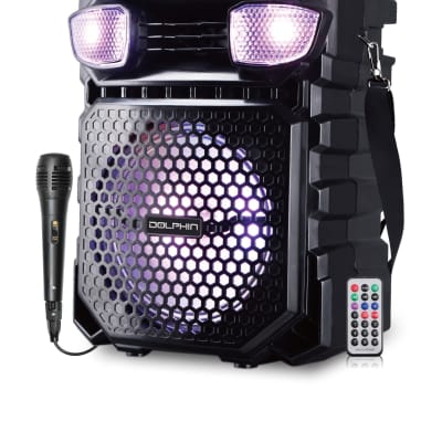 Dolphin KP-80 Premium Loud DEEP Sound, Lite-Weight, Karaoke | Reverb