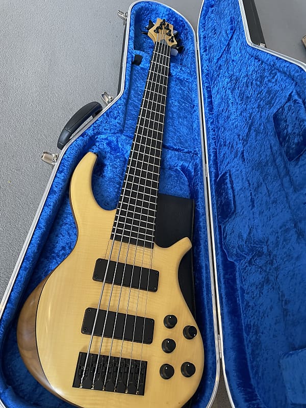 Overwater Perception 6 String Bass - Used, EXCELLENT | Reverb